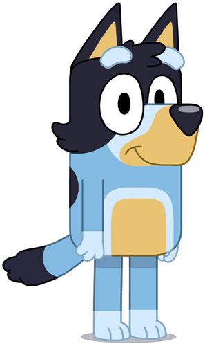Bandit Heeler Bluey Wiki Fandom