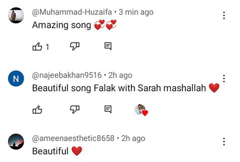 Falak Shabir Releases New Song Starring Sarah Khan Reviewitpk