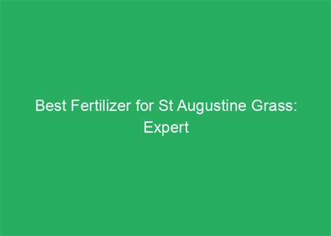 Best Fertilizer For St Augustine Grass Expert Reviews And