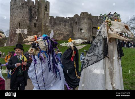Chepstow Wales Uk 20th January 2024 Mari Lwyd Or Grey Mare