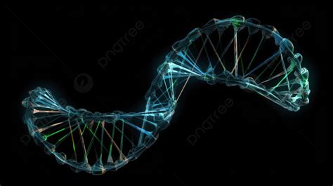 3d Dna 나선 구조의 고립 된 검은 X 선 렌더링 Dna 가닥 나선 Dna 나선 배경 일러스트 및 사진 무료 다운로드