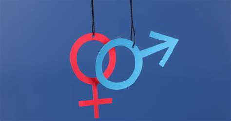 What Is Gender Archaeology Anthroholic