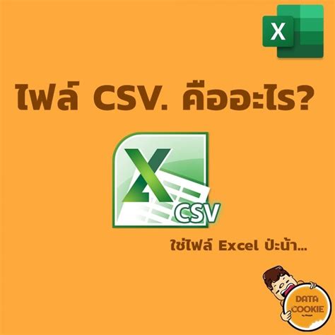 Datacookie ไฟล์csvคืออะไร ใช่ไฟล์ Excel ป่ะน้า🤔 เชื่อว่าทุกท่านคุ้นชินกับไฟล์ Excel