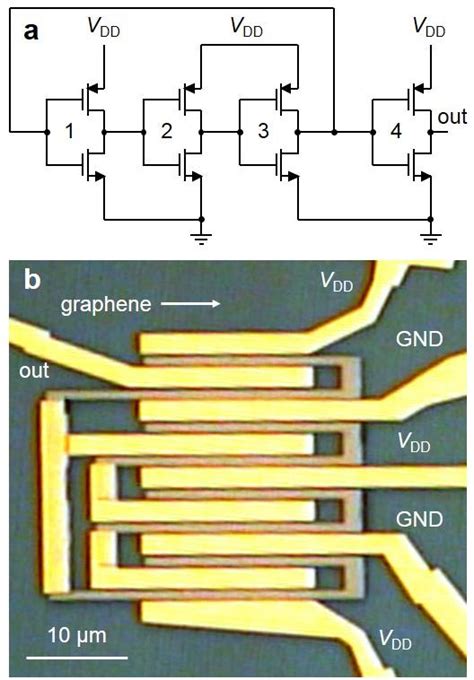 Integrated Monolayer Graphene Voltage Amplifiers And Ros A Circuit