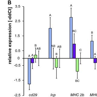 Interactive Effects Of Sex And Brooding Mode On Cell Activity And Download Scientific Diagram