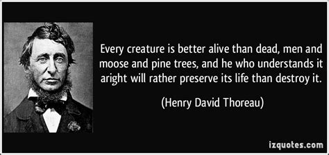 Quotes From Dead Alive Quotesgram