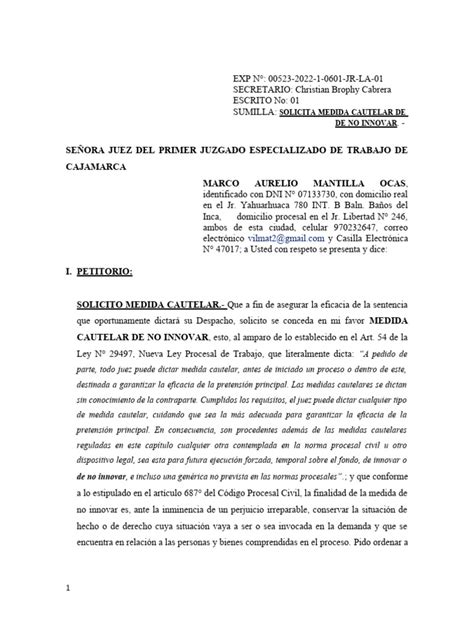 Medida Cautelar De No Innovar Marco Pdf Mandato Derecho Laboral