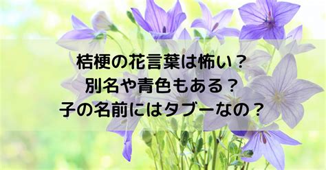 桔梗の花言葉は怖い？別名や青色もある？子の名前にはタブーなの？ めりもの深掘りブログ