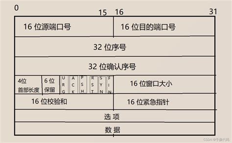 网路原理 传输层udp Tcp Ip 确认应答 超时重传 连接管理 三次握手 四次挥手 状态转换 流量控制 滑动窗口 拥塞控制 延时应答 捎带应答 异常情况 面向字节流 网络层 Ip协议