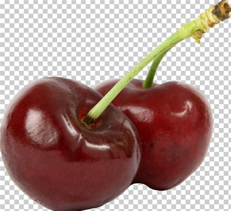 Burlat Cherry Fruit Cerasus Food Png Clipart Acerola Apple Bell