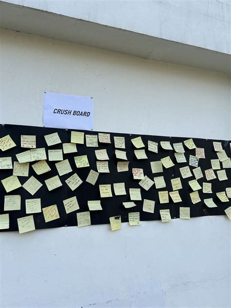 Bugraptors Software Testing Company On Linkedin Bugraptors