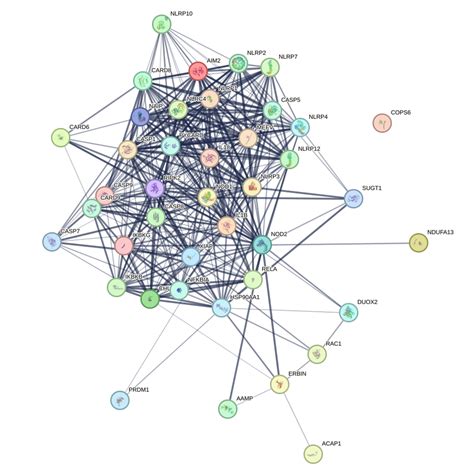 Pathcards Nucleotide Binding Oligomerization Domain Nod Pathway