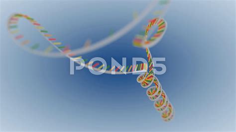 Dna Replication Animation Video