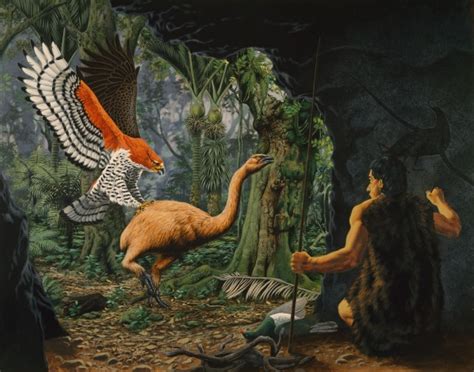El águila De Haast Hieraaetus Moorei Nuevas Revelaciones Sobre Una