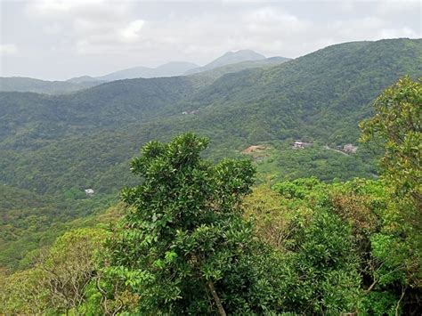 臺北大縱走 42 1 風櫃嘴雙溪溝古道五指山古道大崙頭山北面步道碧山路 健行筆記