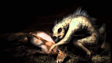 El Misterioso Ataque De Un Ser “carnívoro Y Peligroso” En Valle De
