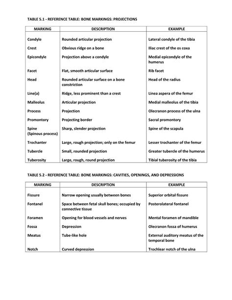 Table 51 Reference Table Bone Markings Projections Docslib