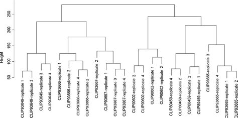 hierarchical clustering the analysis was performed using the euclidean