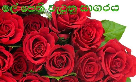 මල් පෙති වැටුනු සාගරය මැදින්