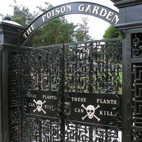 Diy Poison Herb Garden Plant If You Dare Junk Gypsy Blog