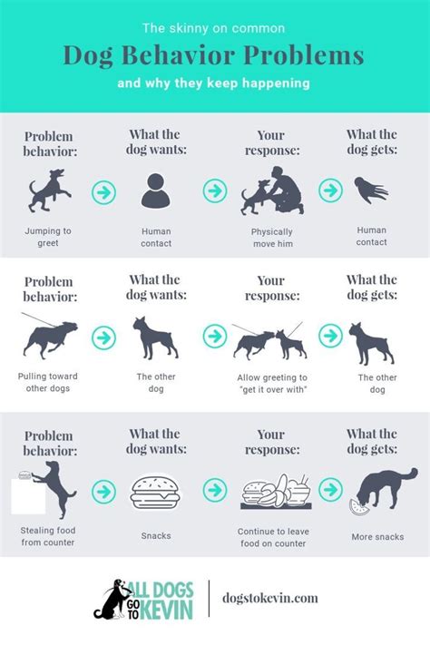 How Do I Teach My Dog Basic Commands Dog Training Artofit