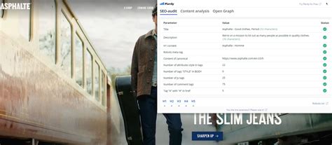 Shopify Seo Step By Step Guide Plerdy