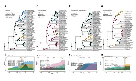 Maximum Likelihood Ancestral State Reconstructions For The Four Brown