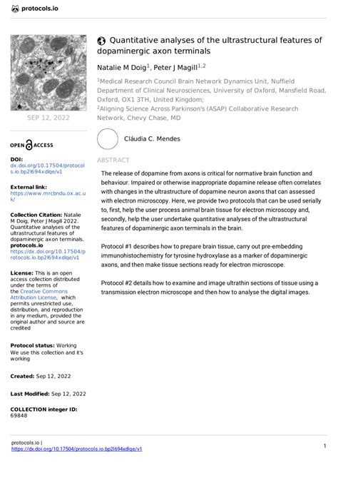 Pdf Quantitative Analyses Of The Ultrastructural Features Of