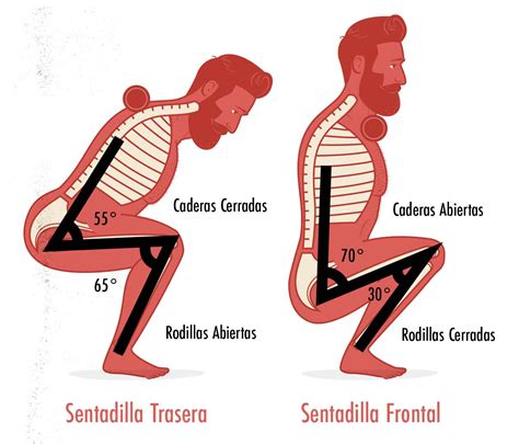 La Sentadilla Frontal Guía para Tamaño Estética Outlift