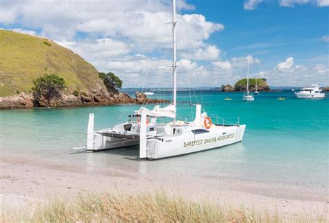 Barefoot Sailing And Native Birds In The Bay Of Islands Bekiwi