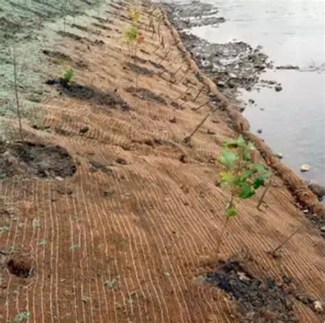 Fx Blanket Jute And Pp Netting Flood X Flood Protection Singapore