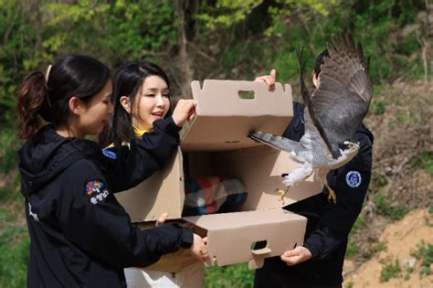 김건희 여사 말 못하는 동물이 고통 위협받는 현실 마음 아프다 노컷뉴스