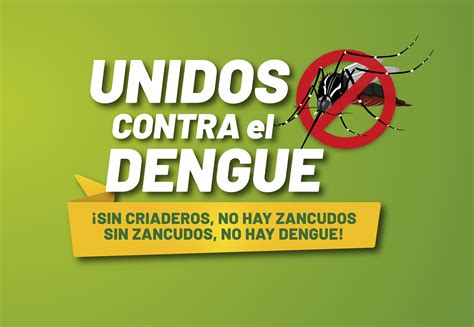 Campaña de prevención y control del dengue Campañas Dirección de