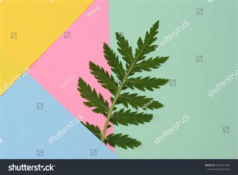 Abstract Geomatric Background Images Stock Photos Vectors Shutterstock