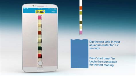 Tetra Easy Strips Chart