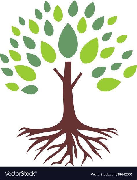 Tree Root Logo Royalty Free Vector Image VectorStock