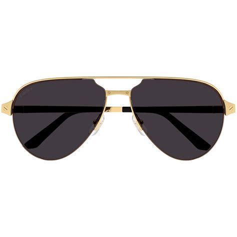 Cartier Cartier Sunglasses Ct0386s Unisex Gold Flannels