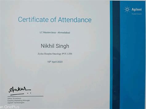 nikhil kumar singh posted on linkedin