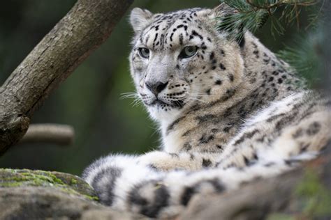 Exciting Zoo Updates Marwell Zoo