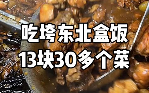 东北路边打工人盒饭，13块30多个菜随便！你觉得贵吗？ 大咔嚓日记 大咔嚓日记 哔哩哔哩视频