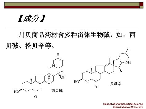 根及根茎类生药 生药学（第六版） 李建宽 山西医科大学药学院 积累经验 利用经验 Ppt Download