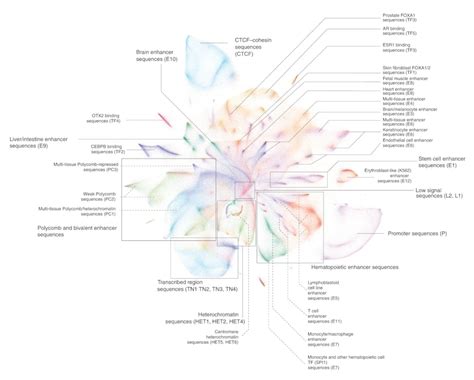 Big Data And Powerful Computing Join Forces To Link Dna Sequence And Function