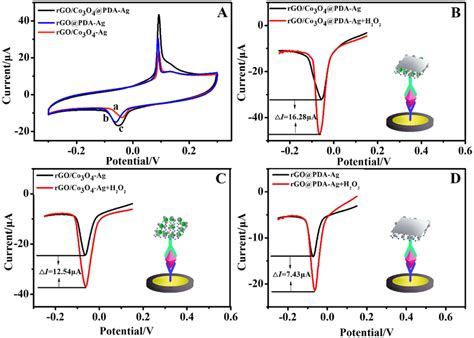 A The Cyclic Voltammograms Of Rgoco3o4ag A Rgopdaag B And