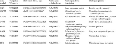 Candidate Reference Genes Used For Gene Expression Normalization In Download Table