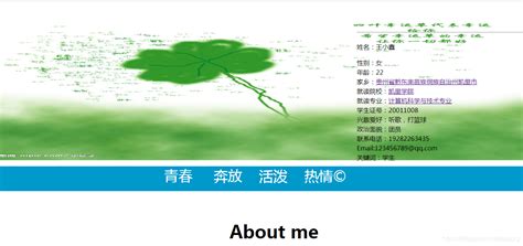 利用html实现个人信息登录页面 html个人信息界面代码 csdn博客