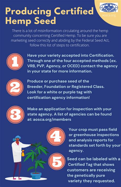 Process Of Certified Hemp Seed Ohio Seed Improvement Association