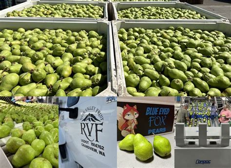 Kassi Orozco On Linkedin 🚀 Our Growers Are Kicking Off The Year With A