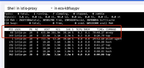 Envoy Consume High Memory But Heap Profiler Cant Report Cause · Issue