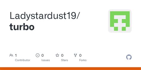 Github Ladystardust19turbo