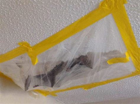 Artex And Textured Coatings Possible Asbestos Risks
